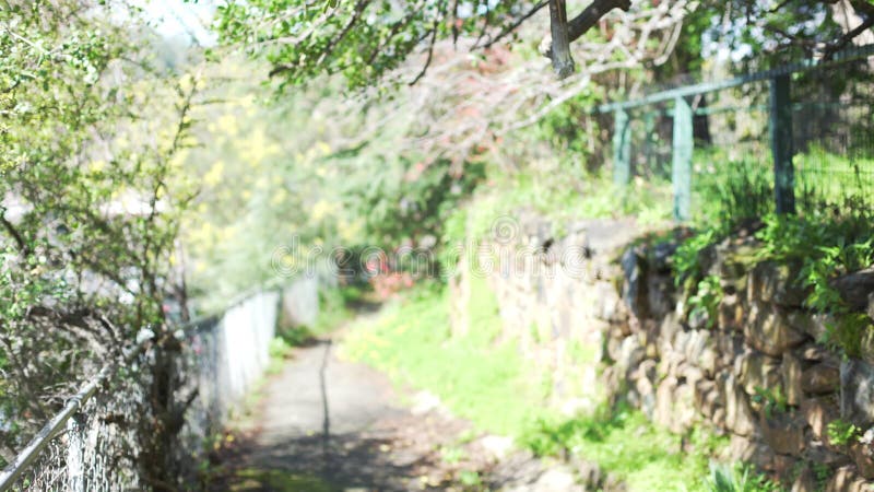 Blurred Video Backdrop of Empty Footpath in the Park with Sunlight ...