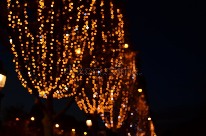 Blurred View of Street with Beautiful Lights on Trees at Night. Bokeh ...