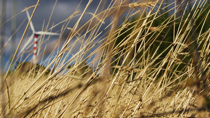 Blurred Wind Turbine in the Background Stock Footage - Video of ...