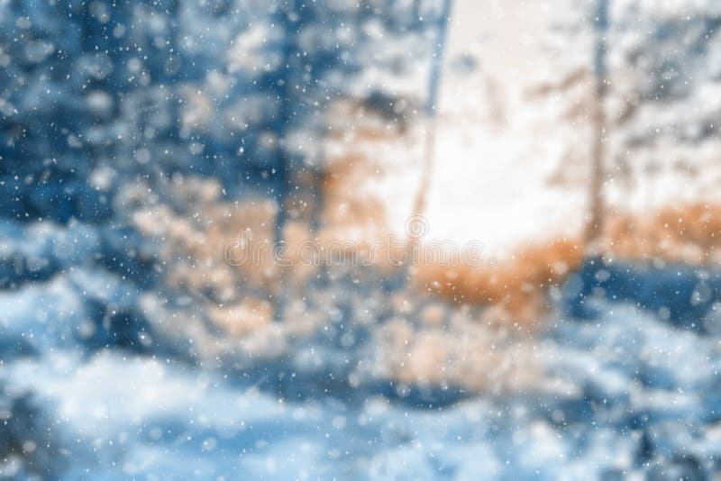 Blurred winter forest stock image. Image of cold, beautiful - 240814479