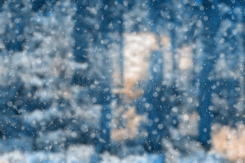 Blurred winter forest stock photo. Image of bokeh, christmas - 260764342
