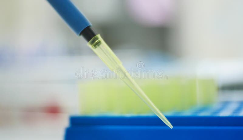Yellow Pipette Tip in Blue Box Stock Image - Image of pipetting ...