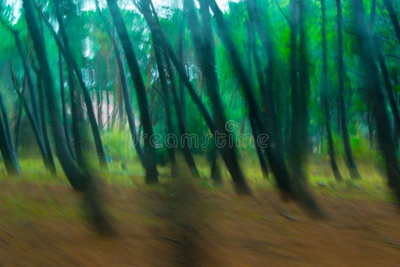 Blurry Abstract Background of Surreal Forest Stock Image - Image of ...