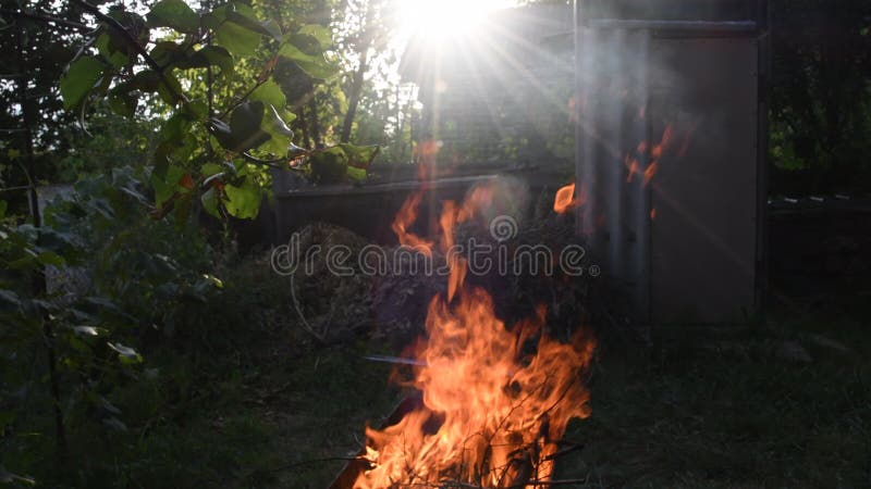 Blurry Burning Fire Under Sun Rays with Lens Flare. Campfire Flames on ...
