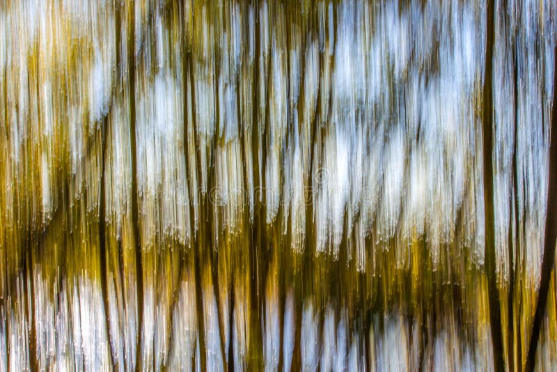 Blurry Distorted Trees in a Park, with Motion Blur Stock Photo - Image ...