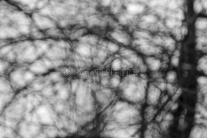 Blurry gray background stock image. Image of backdrop - 110736921