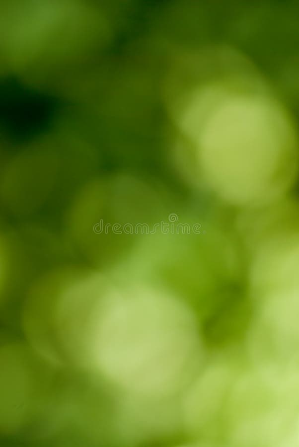 Blurry green stock photo. Image of backcloth, focused - 5918416