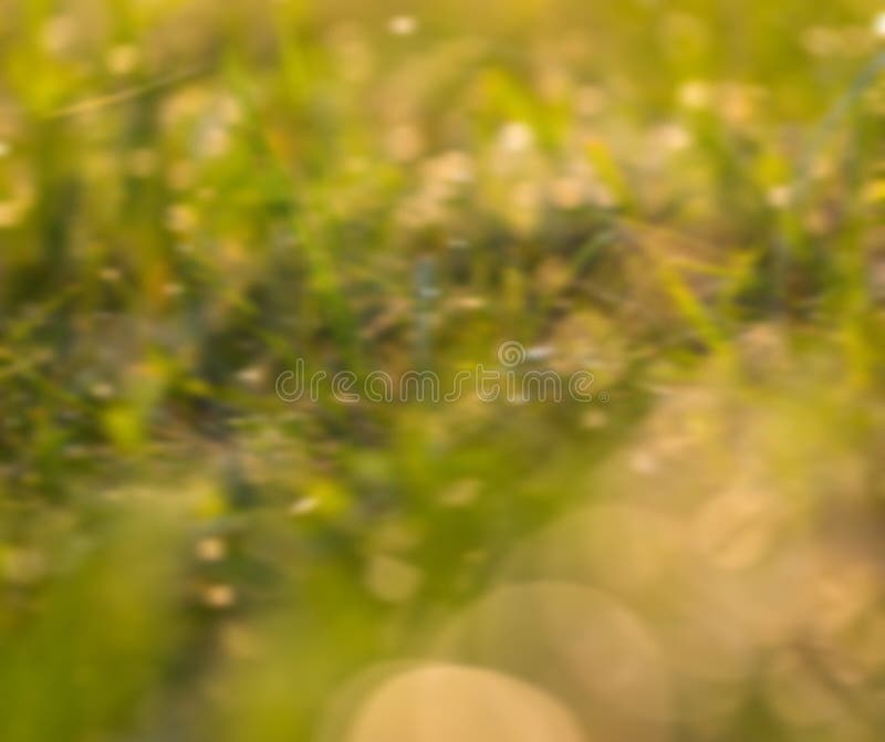 Blurry Green Plants Background Stock Photo - Image of design, abstract ...