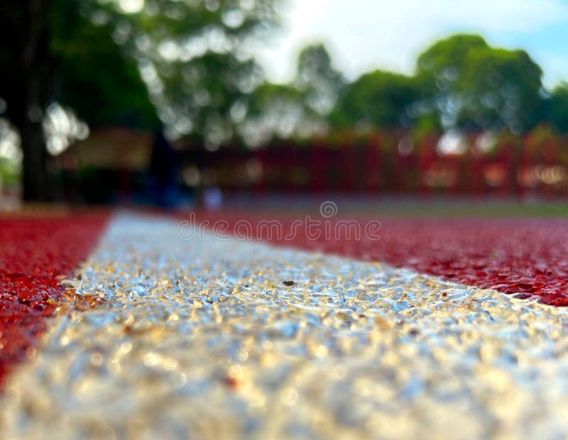 815 Blurry Tree Line Stock Photos - Free & Royalty-Free Stock Photos ...