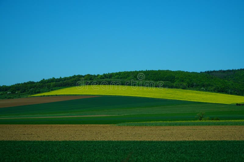 Blurry landscape in motion stock image. Image of converging - 115748457