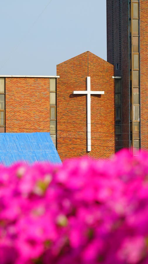 A Blurry-looking Petunia and a Clear-looking Cross. Stock Photo - Image ...