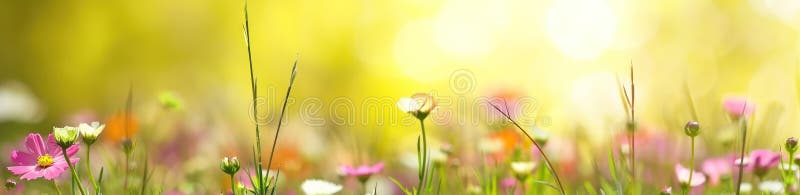 A Blurry Still Image of a Spring Scene with Colorful Flowers Stock ...