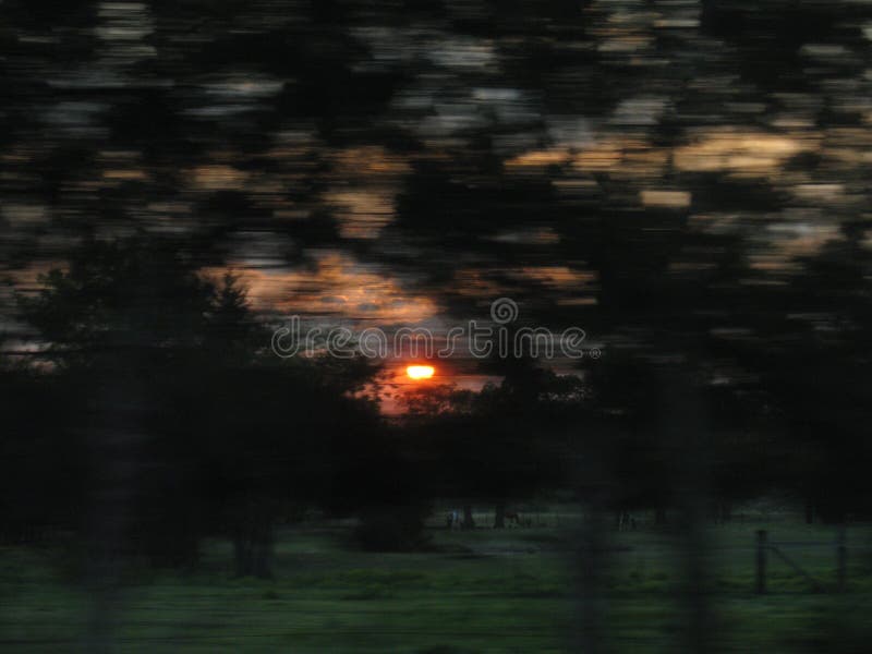 Blurry Trees at Sunset Abstract Dark Theme Photo Stock Image - Image of ...