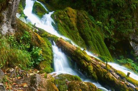 Blurry Waterfall with the Fallen Tree Stock Image - Image of blurry ...
