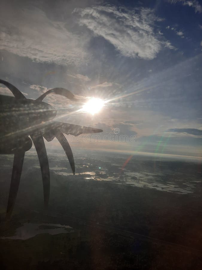 BLUESKY stock photo. Image of tree, wall, blue, bluesky - 262685922