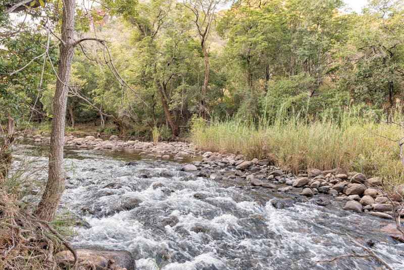 Blyde River on the Kudu Trail at Swadini Stock Image - Image of scenery ...