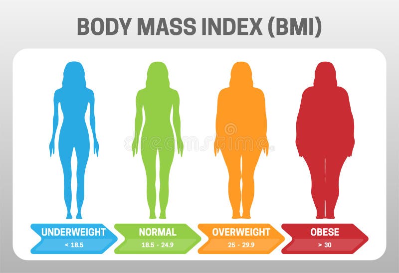 Bmi Body Mass Index Vector Illustratie Met Woman Silhouette Van