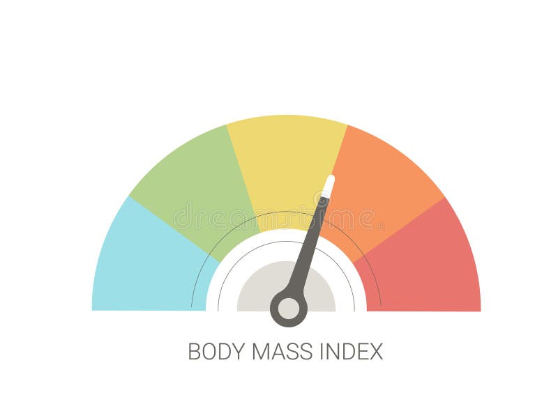 BMI Indicator Simple Vector Icon. Weight Balance Control Stock Vector ...