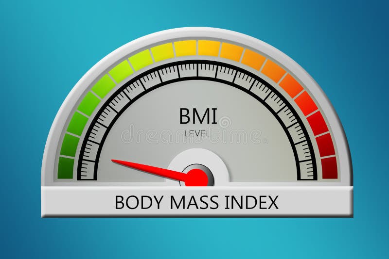 BMI Measuring Device with Arrow and Scale Stock Illustration ...