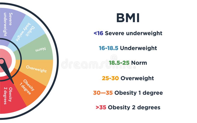 Bmi-Skala. Vektorgrafik vektor abbildung. Illustration von karosserie - 249555010