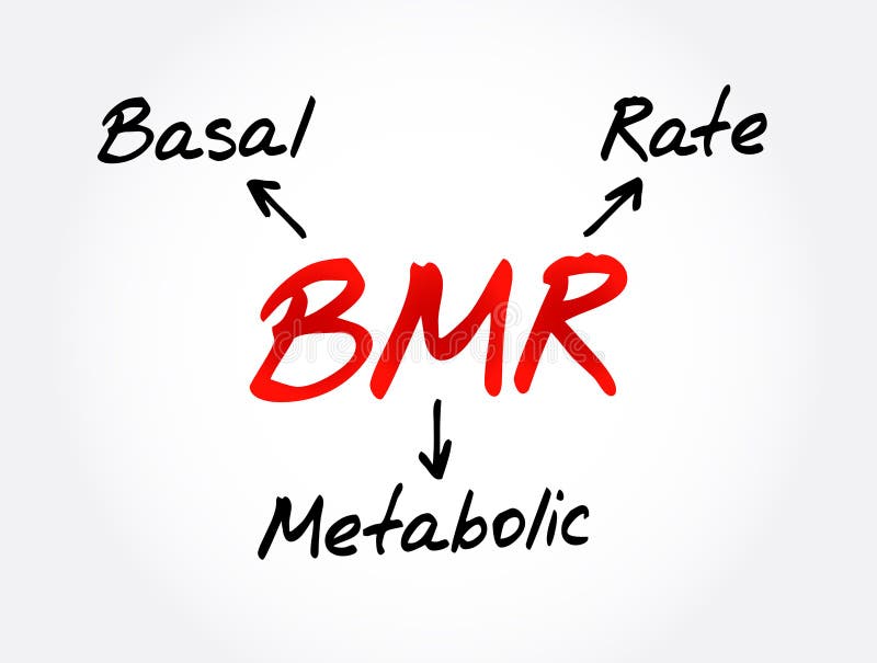 BMR - Basal Metabolic Rate Acronym, Concept Background Stock ...