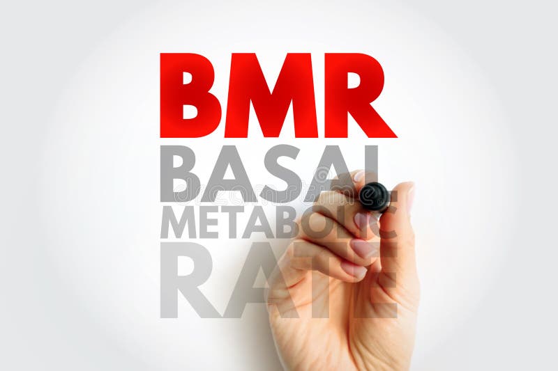 BMR Basal Metabolic Rate - Number of Calories You Burn As Your Body ...