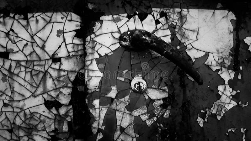 521 Bnw Texture Stock Photos - Free & Royalty-Free Stock Photos from ...