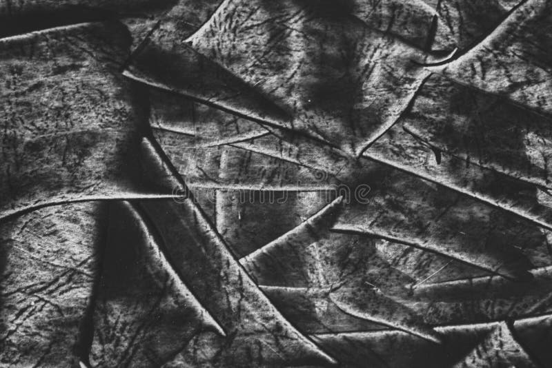 1,874 Bnw Texture Stock Photos - Free & Royalty-Free Stock Photos from ...