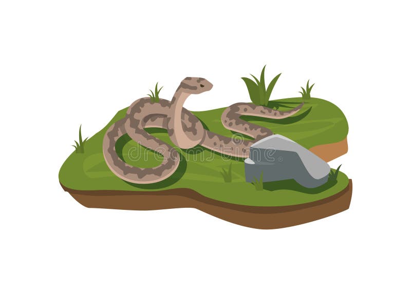 Boa Dangerous Snake Crawls on Green Meadow, Flat Vector Illustration ...