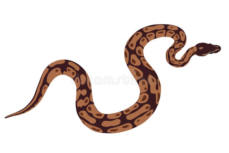 Snake sketch stock vector. Illustration of pattern, draw - 26513811