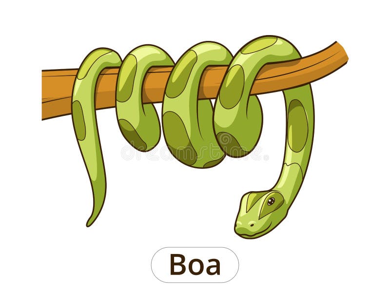 Boa Snake Cartoon Vector Illustration Stock Vector - Illustration of ...