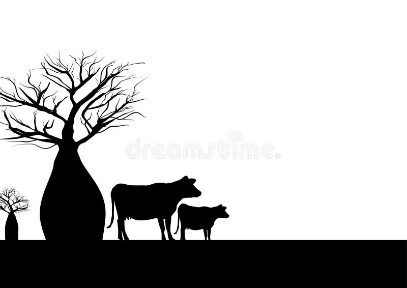 Australian Boab Tree on White Background Stock Vector - Illustration of ...