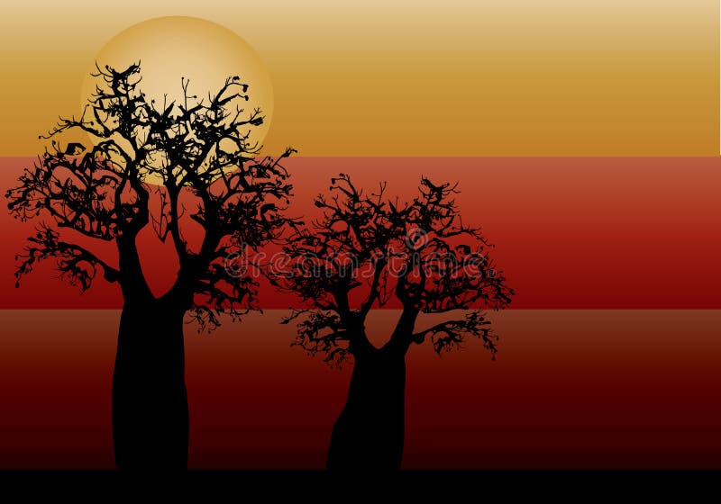 Boab Tree Spinifex Grass Rocks Stock Image - Image of boabab, blue ...