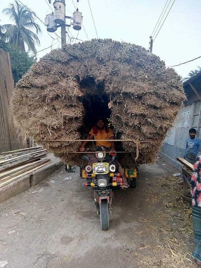 Van Gari Stock Photos - Free & Royalty-Free Stock Photos from Dreamstime