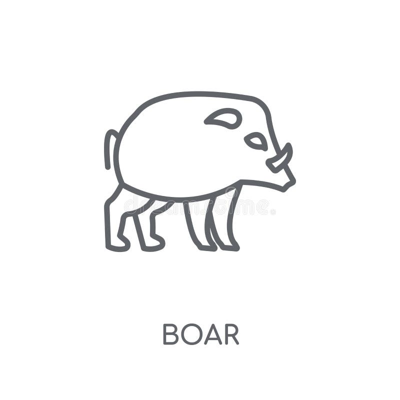 Boar Linear Icon. Modern Outline Boar Logo Concept on White Back Stock ...