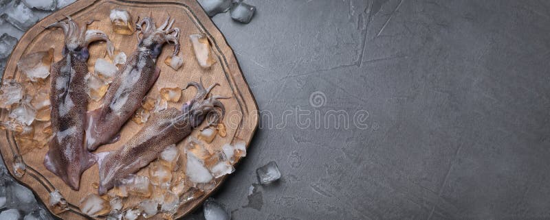 Board with Fresh Squids and Ice Cubes on Grey Table, Flat Lay. Banner ...