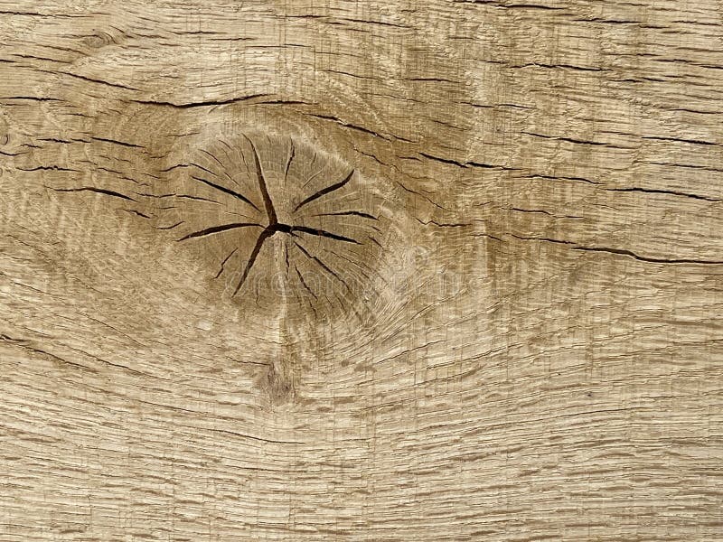 Board, knothole stock image. Image of fibres, flora - 250002629