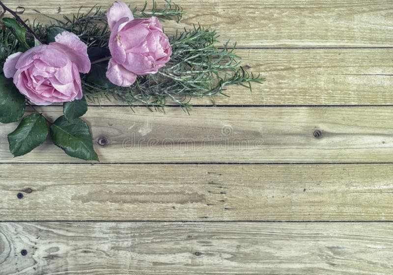 Board with roses stock image. Image of flower, romantic - 62907631