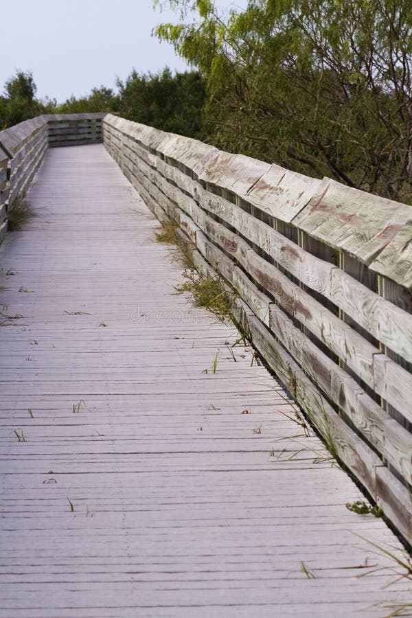 Board walk stock photo. Image of center, berding, access - 28520218