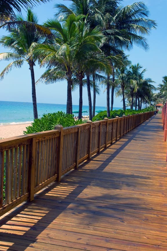 1,637 Deep Sea Walk Stock Photos - Free & Royalty-Free Stock Photos ...