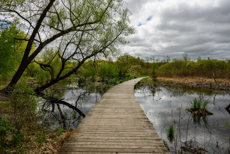 Board Walk Over Marsh stock image. Image of natural - 188097855