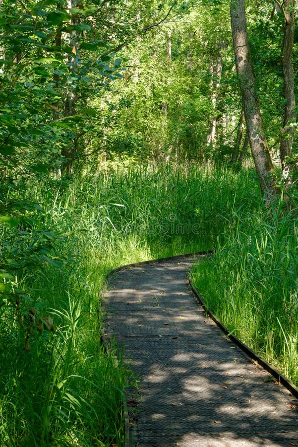 253 Wheelchair Accessible Path Stock Photos - Free & Royalty-Free Stock ...