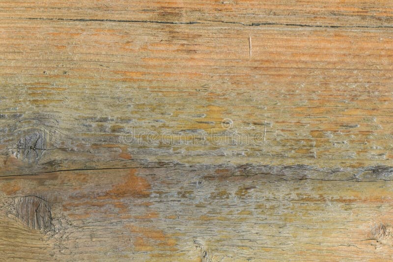 Boards, Solid Wood. Old Varnished Texture Boards Stock Photo - Image of ...