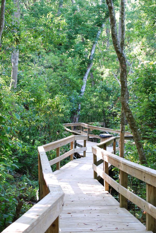 Boardwalk stock photo. Image of path, florida, walk, angled - 12895176