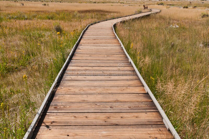 Boardwalk stock photo. Image of boardwalk, grass, footpath - 21147136