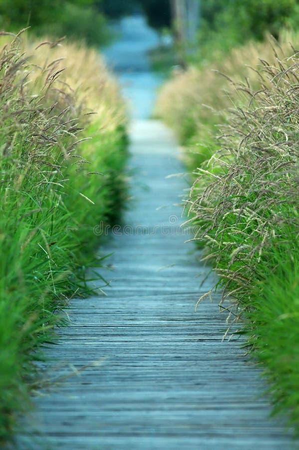 Boardwalk stock image. Image of outside, urban, visual - 7066979