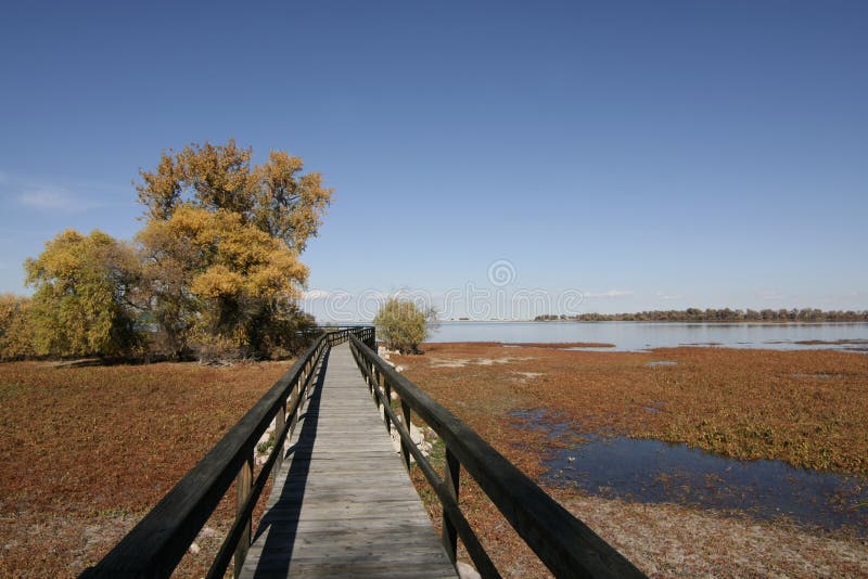 Boardwalk at Barr Lake State Park Stock Photo - Image of landscape ...