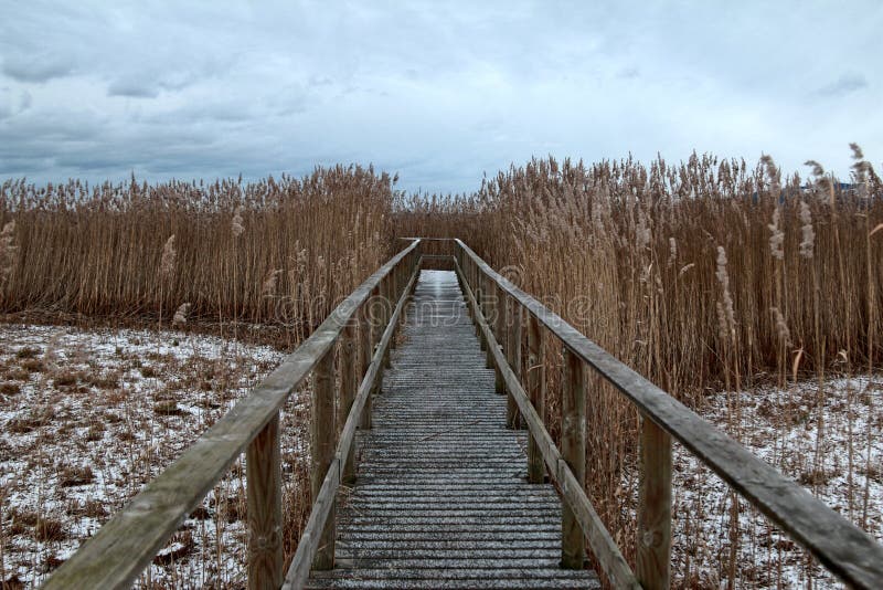 Boardwalk On Beach Picture. Image: 87856638