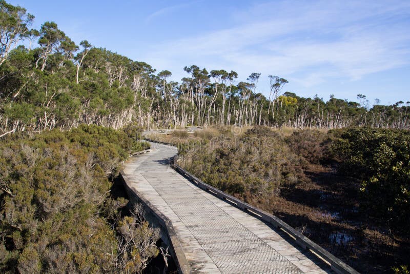 Boardwalk conservation stock image. Image of tourists - 43765289