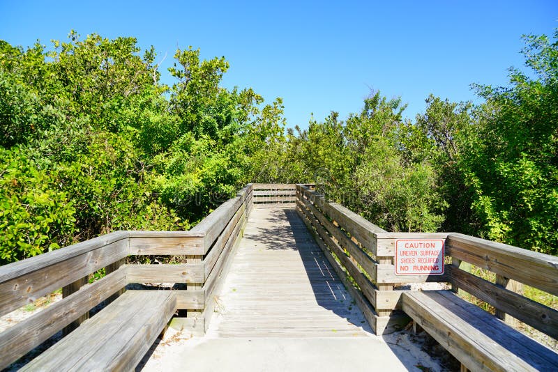 Boardwalk Crossing the Swamp Stock Image - Image of everglades, hiding ...